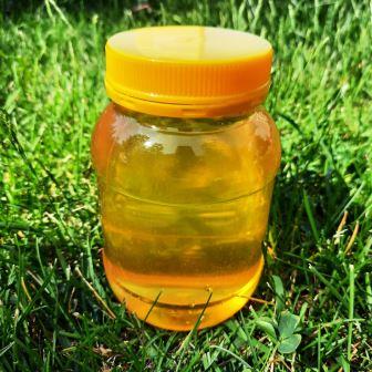 May Honey: Features, Benefits, Extraction Time | CraftOil Honey ...